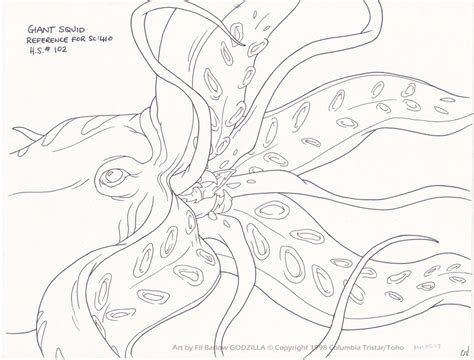Colossal Squid Drawing At GetDrawings Free Download