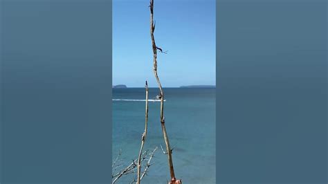 여호와 하나님 우리 아버지 사랑합니다 사랑합니다 사랑합니다 오늘도 저와 제 가족이 건강하고 즐겁고 안전하고 풍족하고 만족스러운 하루를 지내도록 복 주시고 은혜 베풀어