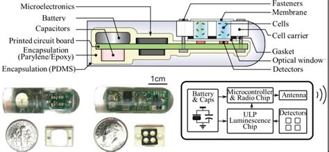A Typical Design Of Sensor The Design Of An Ingestible Device For Download Scientific Diagram