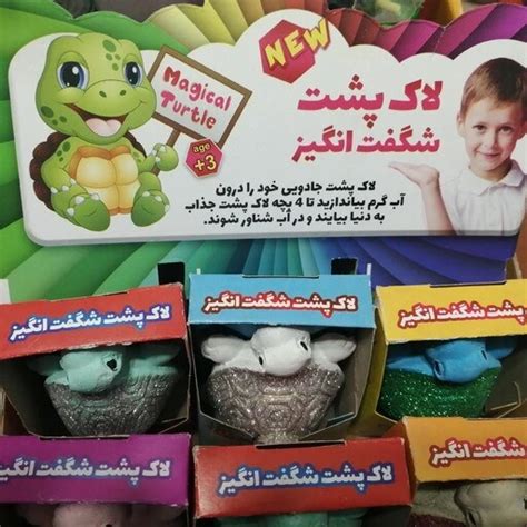 خرید و قیمت لاک پشت شگفت انگیز لاک پشتی جادویی که چهار بچه لاک پشت