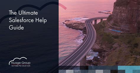 The Ultimate Salesforce Help Guide The Nuage Group