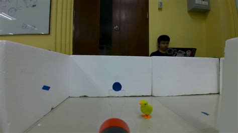 Detectsperm Object Detection Dataset By Zorrazabb