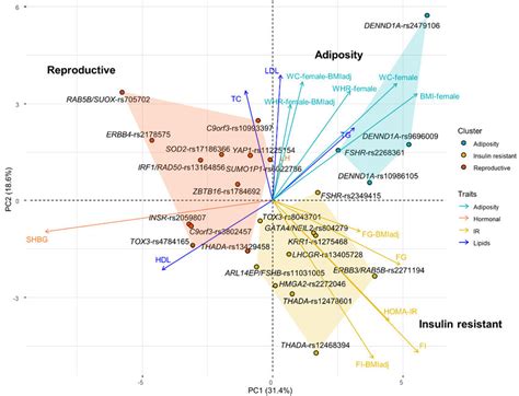 Pca Plot Of The Variant Trait Associations For Pcos Variants Pcos