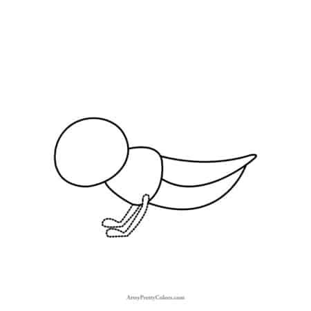 How To Draw A Grasshopper A Simple Guide Artsy Pretty Colors