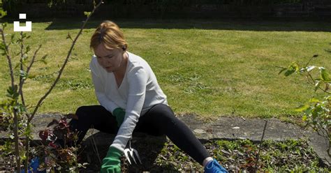 나무를 심는 사람 사진 Unsplash의 무료 정원 이미지