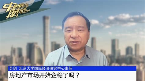 北京大学经济学院教授苏剑房地产市场开始企稳了吗 凤凰网视频 凤凰网