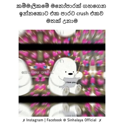 Sinhalaya සිංහලයා උම්මා ඉතිං 🥺🌝 ️ සිංහලයා 🅾🅵🅵🅸🅲🅸🅰🅻~ පරණ සිංහලයම තමා🙂 කලිං පේජ් එක නැති උනා
