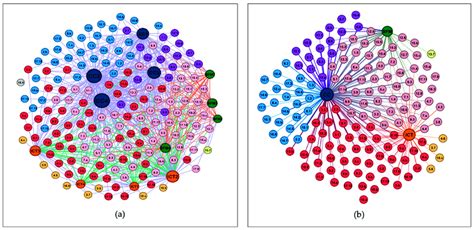 simplified network visualization of interconnection between sdts and