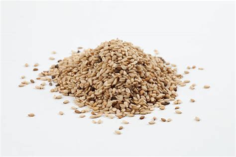 깨 스톡 사진 및 일러스트 Istock