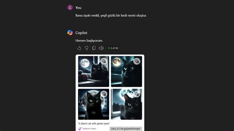 Microsoft Copilot Windows 10 Için Kullanıma Sunuldu Sdn