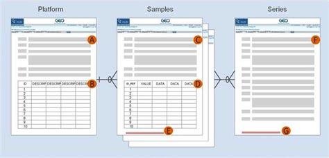 Soft Submission Instructions Geo Ncbi
