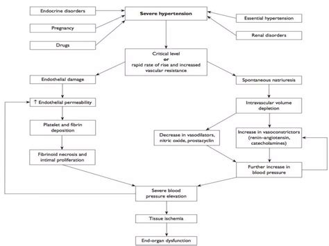 Hypertension Emergency And Urgency Pptx Heart And Cardiovascular