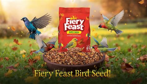 What Is In Bird Seed Surprising Ingredients You Should Know Birds