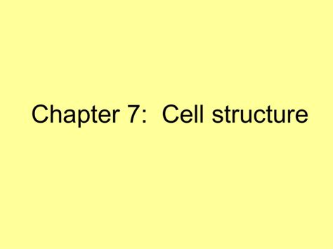 Chapter 7 Cell Structure