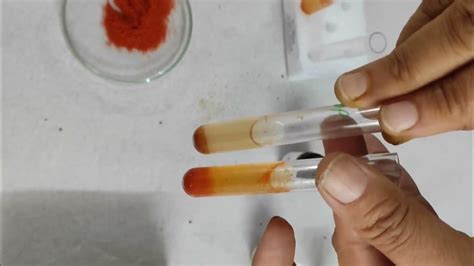 Procedure Food Adulteration Detection Kit Codon Biotech Make Youtube