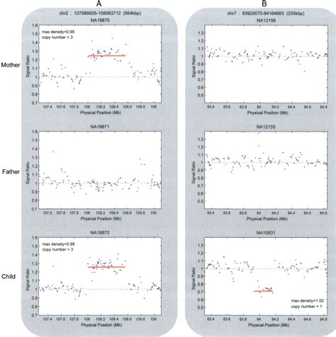 Genome Wide Detection Of Human Copy Number Variations Using High Density Dna Oligonucleotide Arrays