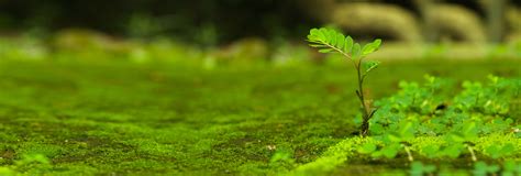 Taqa Water Solutions About Sustainability Page