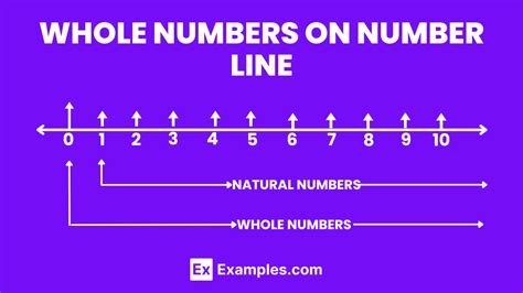 Whole Numbers List Differences Properties