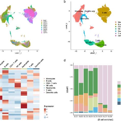 Integrated Analysis Of The Sle Pbmc Scrna Seq Datasets A A Umap Plot Download Scientific
