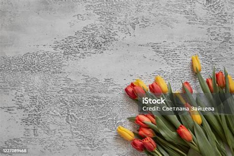 흰색 질감 배경 상단보기 프레임 테두리에 아름다운 튤립 텍스트 공간이 있는 모든 이벤트에 튤립이 있는 엽서 0명에 대한 스톡 사진 및 기타 이미지 Istock