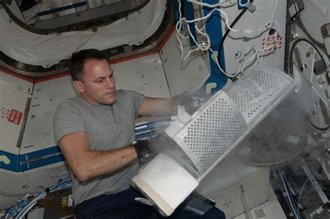 Ared Resistive Exercise In Space Nasa