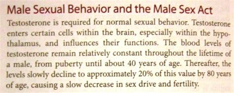 Reproductive System Human Anatomy And Physiology