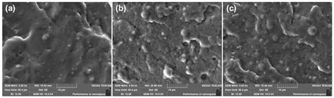 The Hydrogen Bonding In The Hard Domains Of The Siloxane Polyurea