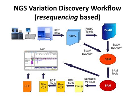 Ppt Whole Exome Sequencing For Variant Discovery And Prioritisation Powerpoint Presentation