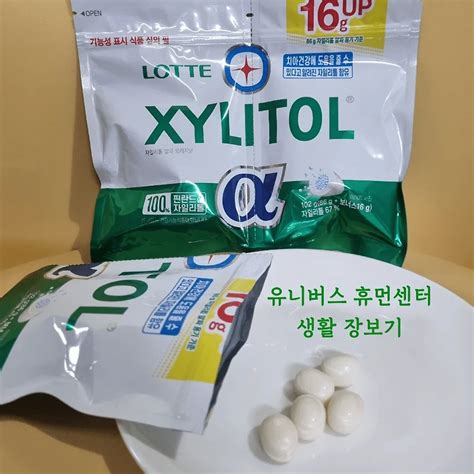 자일리톨 껌 내돈내산 리뷰
