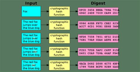 Best Practices For Data Encryption In Software Development Bizcoder