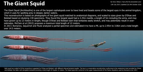 How The Giant Squid Uses Tentacles For Hunting Octonation The Largest Octopus Fan Club