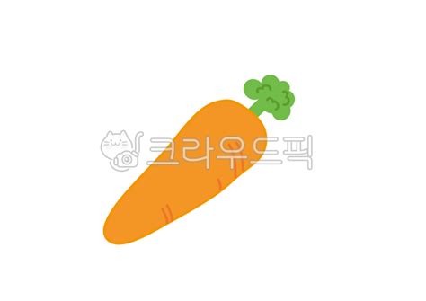 Plant 식물 Carrot 당근 Food 사진 이미지 일러스트 캘리그라피 응재작가