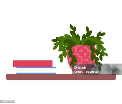 방 인테리어를 위한 책과 화분이 있는 책장 벽 선반 흰색에 홈플랜트가 있는 꽃병 0명에 대한 스톡 벡터 아트 및 기타 이미지 0명 가구 가정의 방 Istock