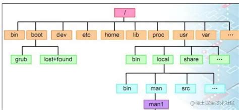 Linux 操作系统基础篇 Linux目录结构 阿里云开发者社区
