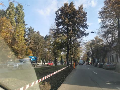 Parc Pentru Plimbarea Câinilor Pe Scuarul De Delimitare A Benzilor De