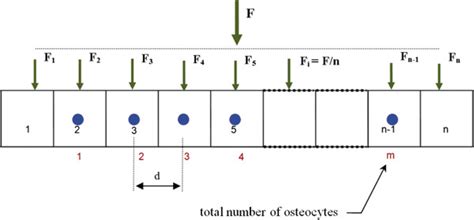 Model Geometry With N Unit Elements Download Scientific Diagram