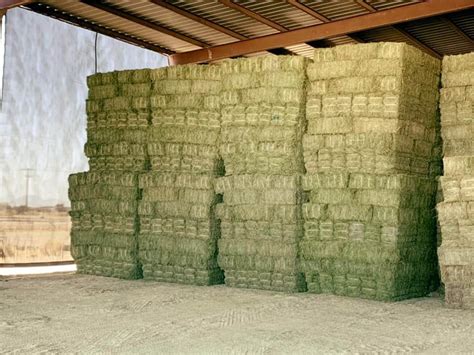 How Much Does A Bale Of Hay Cost — Conway Feed And Supply