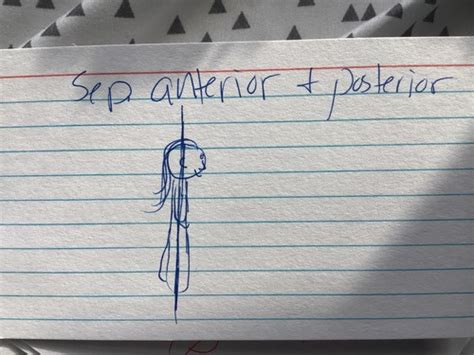 Important Flashcards Quizlet