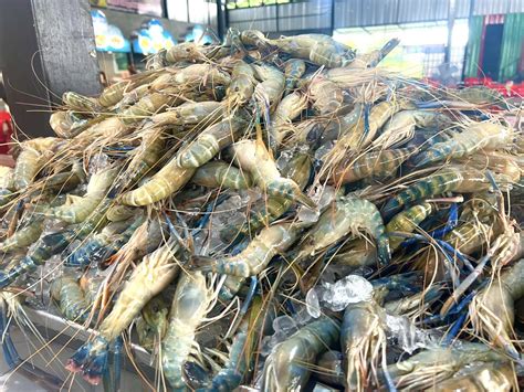 อาป๋า ทะเลเผาandหมูกะทะ สาขาจอมเทียน[อาป๋า ทะเลเผาandหมูกะทะ สาขาจอมเทียน] Ryoii