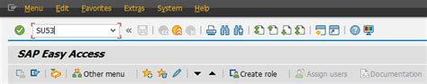 Sap Gui Transaction Code Su53 Sap Community