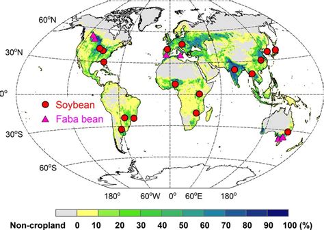 Modeling Symbiotic Biological Nitrogen Fixation In Grain Legumes Globally With Lpj Guess V4 0