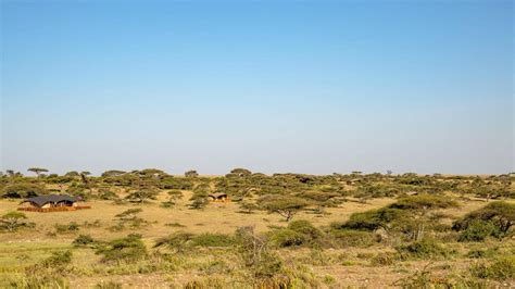 Serengeti Plains Camp Luxury Tented Camp In Serengeti