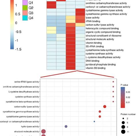 Go Annotation And Kegg Pathway Of Deps Gene Ontology Terms For Download Scientific Diagram