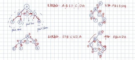 数据结构（三）树与二叉树基本概念三叉树和二叉树 区别 Csdn博客