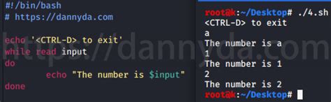 Linux Bashshell Simple Basic Flow Control For Loop While Loop If If Else