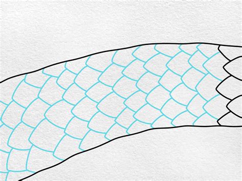 Dragon Scale Drawing Easy