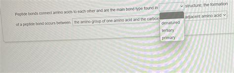 Solved Peptide Bonds Connect Amino Acids To Each Other And