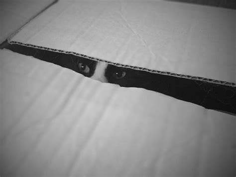 garbage collector has a queue system r c at