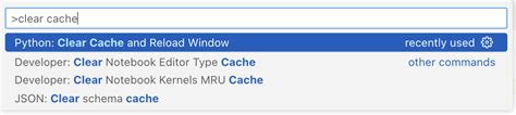 Unknown Virtual Envenvironment Venv Is Being Queried For By Jupyter