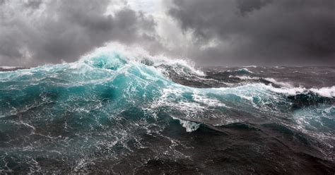 Nortek New To Waves Heres Everything You Need To Know